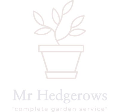Home | Mr Hedgerows, hedge cutting