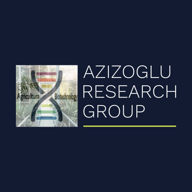 Azizoglu Research Group | Plant Growth-Promoting Bacteria (PGPB ...
