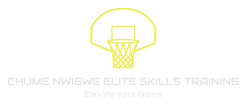 Chume Nwigwe Elite Skills Training | basketball training | Thunder Bay ...